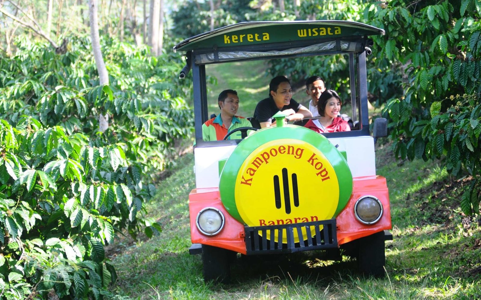 Kampung Kopi Banaran, Liburan Asik dengan View Estetik