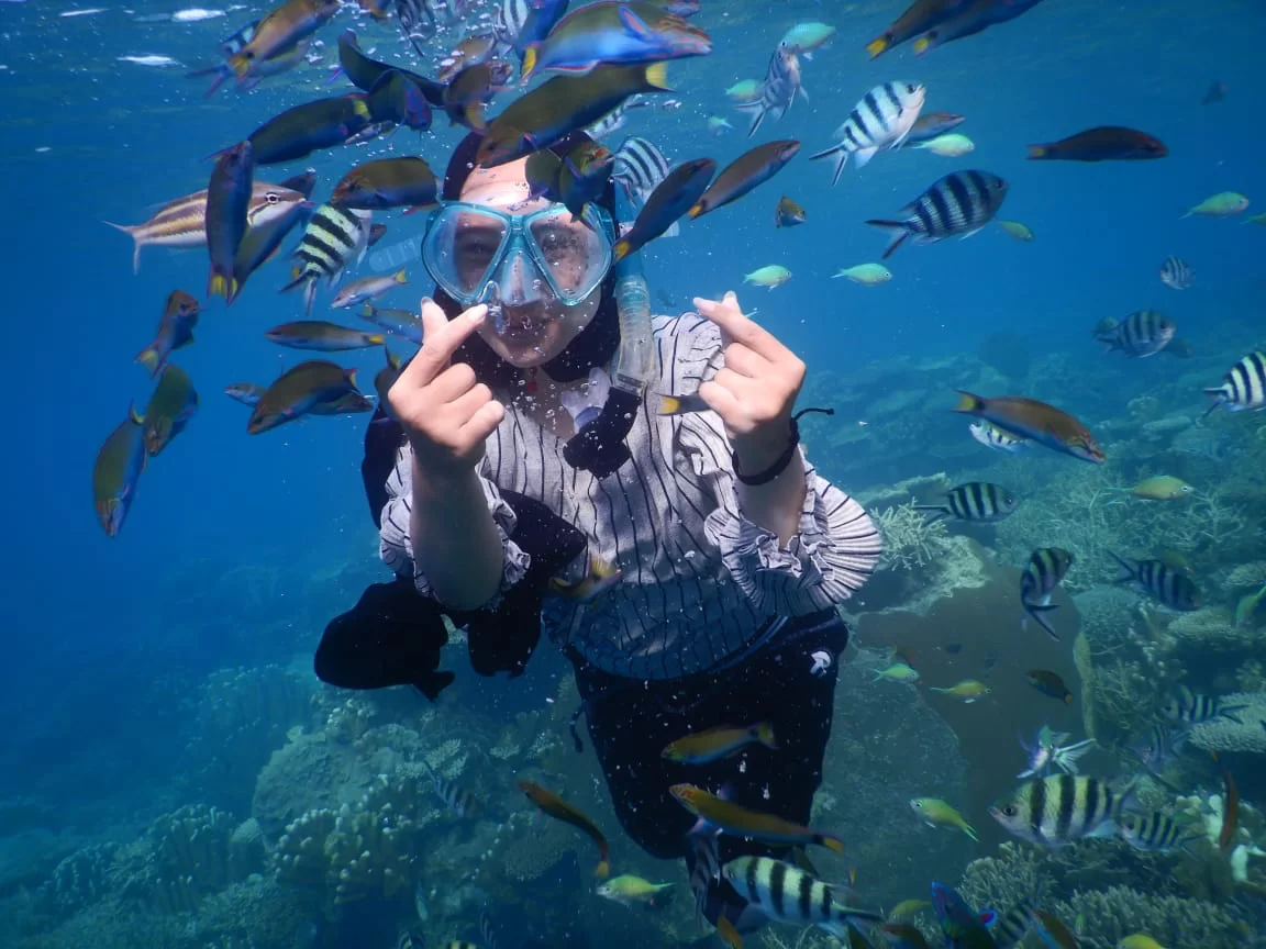 Paket Wisata | Open Trip | Rent Car | Paradiso Tour